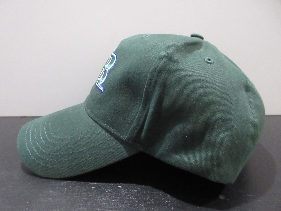 Tampa Bay Rays Hat Cap Strap Back Green MLB Baseball Logo Adjustable ...