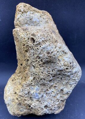 Fossilized Indiana Agate crinoid Stems In Jasper Bedrock 2.75 Lb | eBay