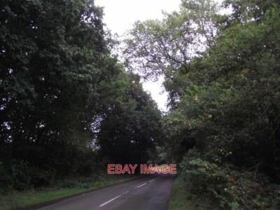 PHOTO PECKLETON COMMON 2016 (3) | eBay UK