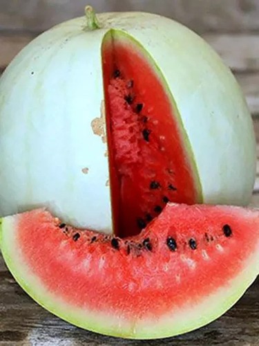 Watermelon Whole-leaved﻿ organic non-GMO seeds Ukraine 3g Farmer's ...