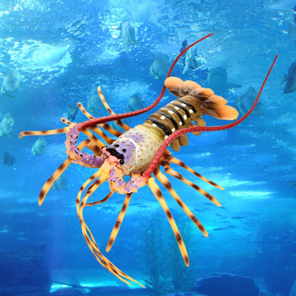 Lobster Model Creative Lifelike Lobster Decor Funny Toy Lobster for ...