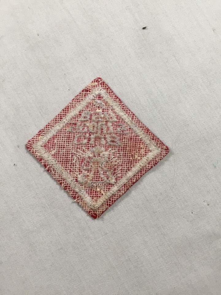 Cub Scout Lion Rank Award felt gauze back BSA Rank Patch | eBay