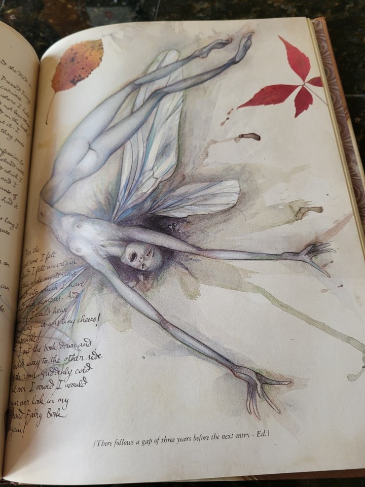 Lady Cottington's Pressed Fairy Book - Hardcover By Terry Jones - VERY ...