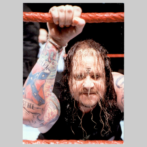 Mideon #24 1999 Comic Images WWF SmackDown! Wrestling Card | eBay