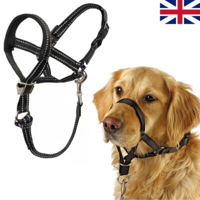 Halti Headcollar Non Pull Dog Head Collar for Training Adjustable Dog ...