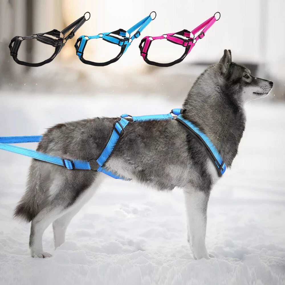 Dog Sled Pulling Harness
