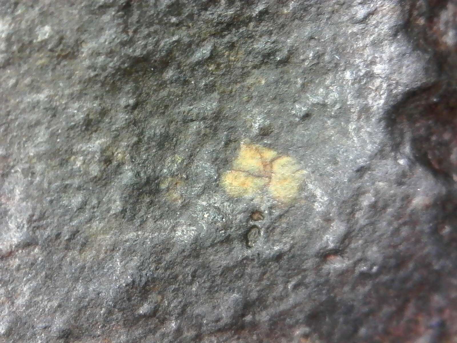 Meteorite Aubrite Achondrite Stony 37.20 Grams Rare | eBay