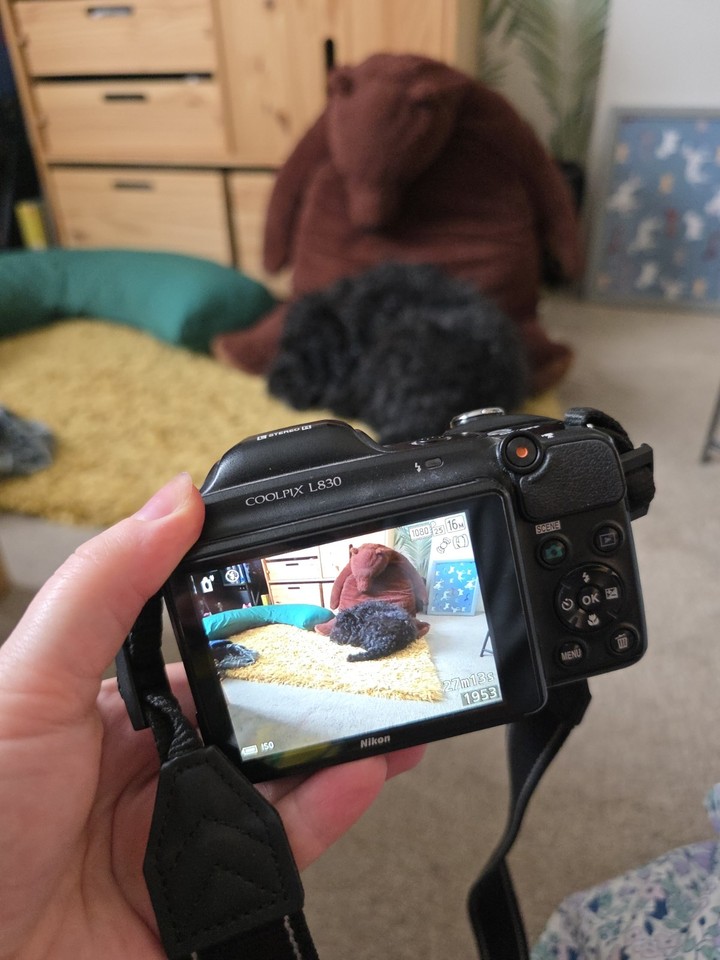 Nikon Coolpix L830 Digital Camera 16MP, Black, 34x Zoom | eBay UK