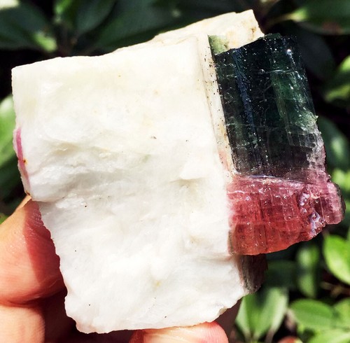 245g Natural Watermelon Color Tourmaline Crystal Rough Stone Specimen ...