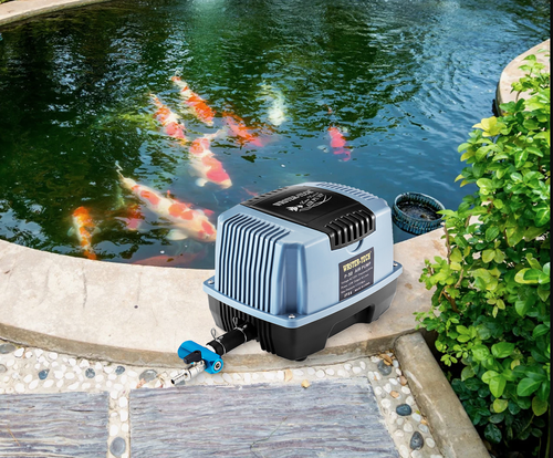 Koi Air Pump Aerator up to 10000 Gallon w/ Timer Pond Aeration Septic ...
