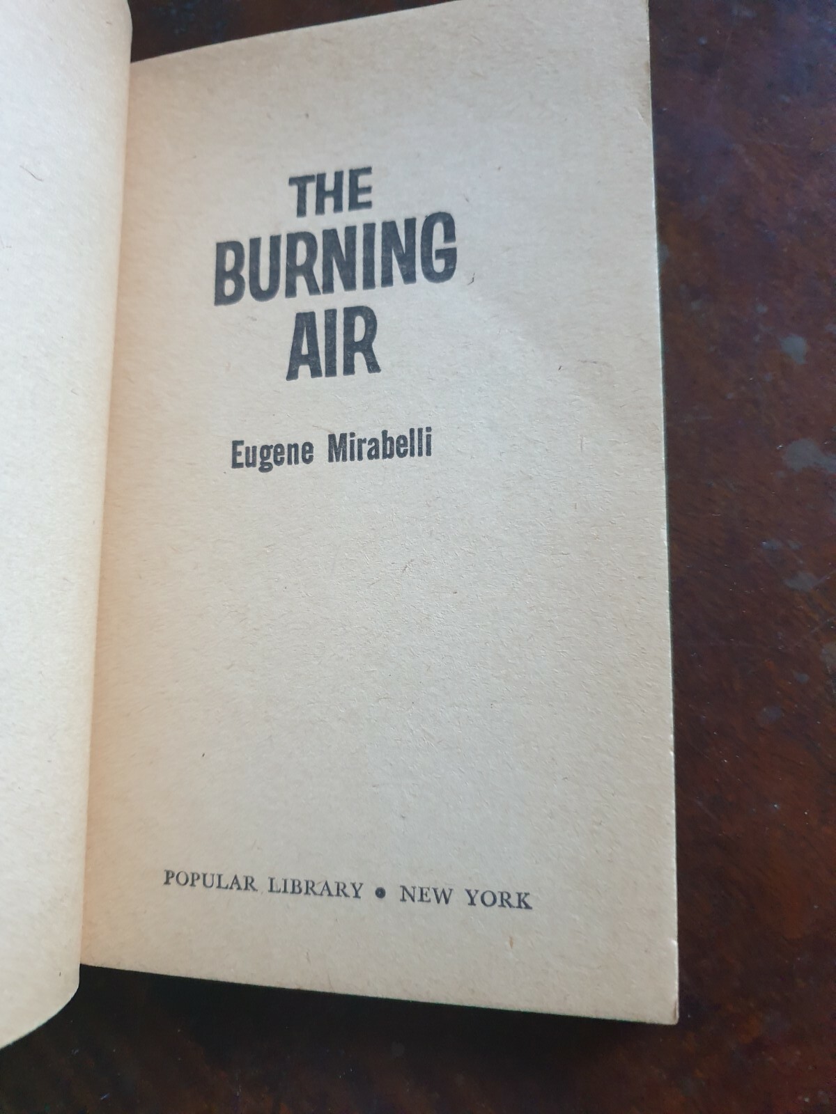 The Burning Air Eugene Mirabelli Vintage 1960 Robert McGinnis Cover Art ...