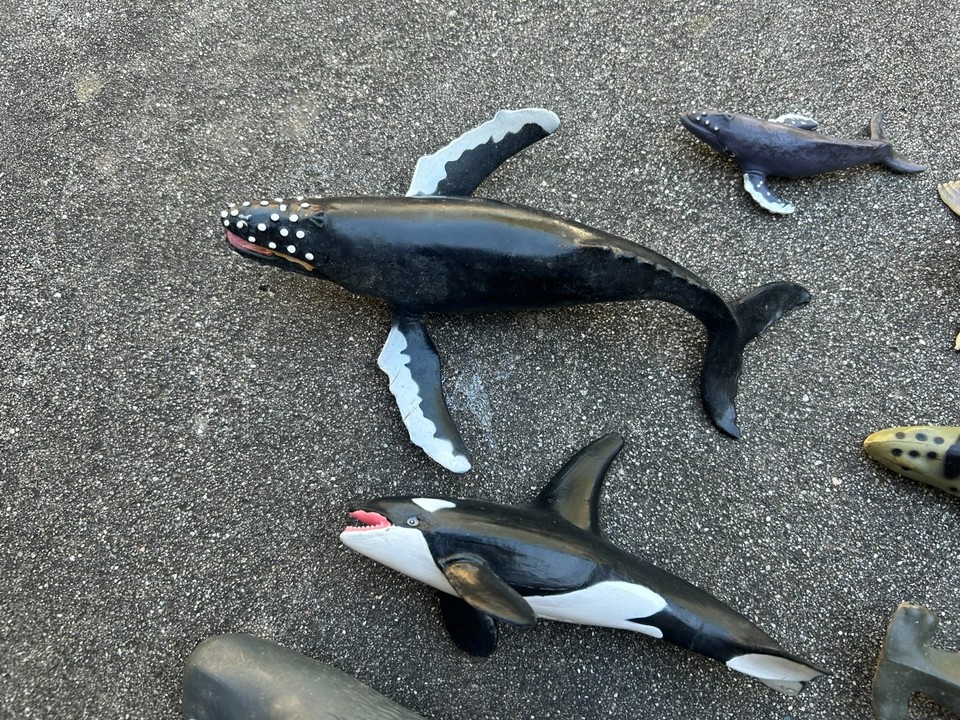 Schleich Old Model Whales, dolphins, eel, fish, whales Lot of 10 | 1996 ...