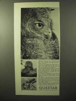 1964 Questar Telescope Ad - Screech Owl | eBay