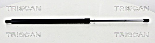 Rear Window Gas Spring Strut 4479800264 | eBay