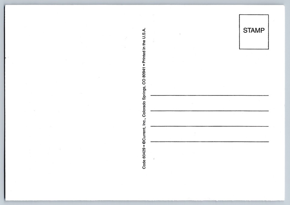 Hi Baby Deer Bunny Rabbit Blank Postcard Note card Linda Powell ...