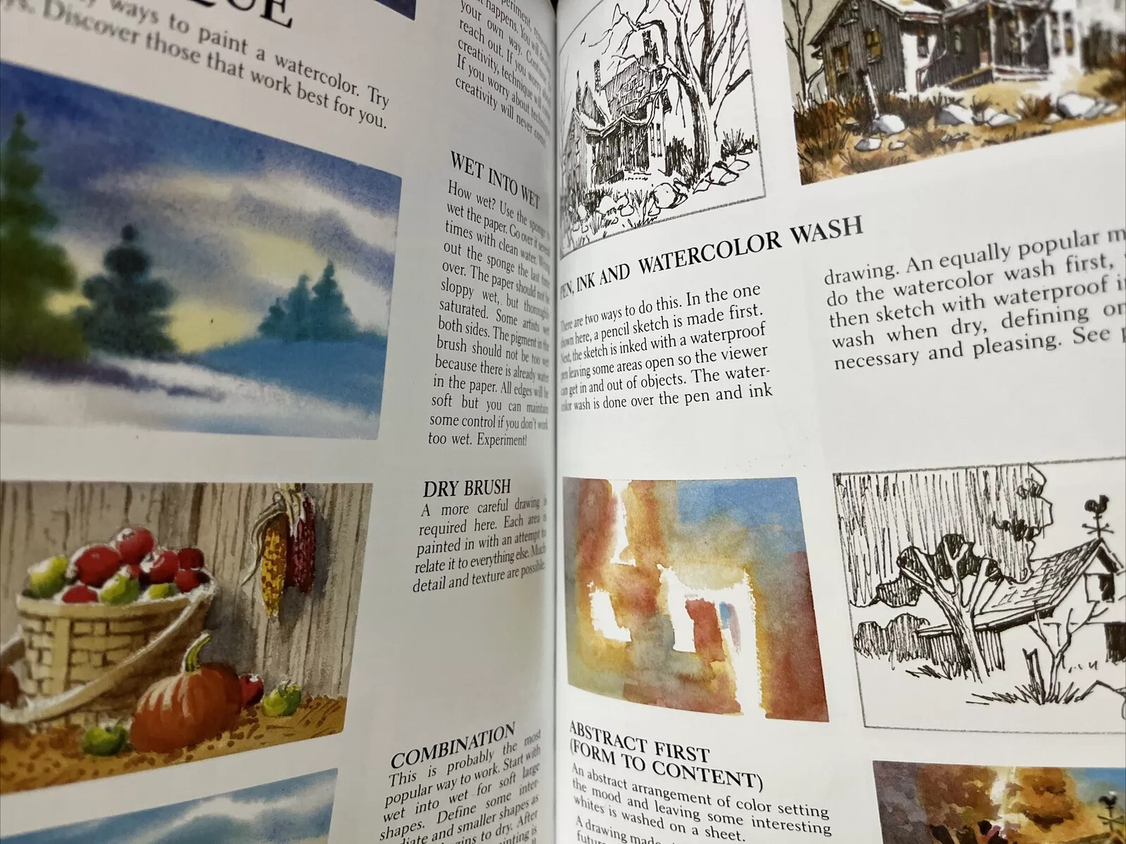 Watercolor : Master the Basics of Drawing, Compositions, and Value As ...