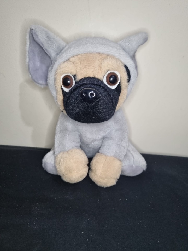 Large Plush Toys 8" Pug Dog in 7 Costumes Cuddly Soft Toy Teddy Plush ...