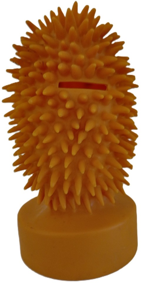 Sydney Olympic Games 2000 Mascot "Millie" the echidna Money Box ...