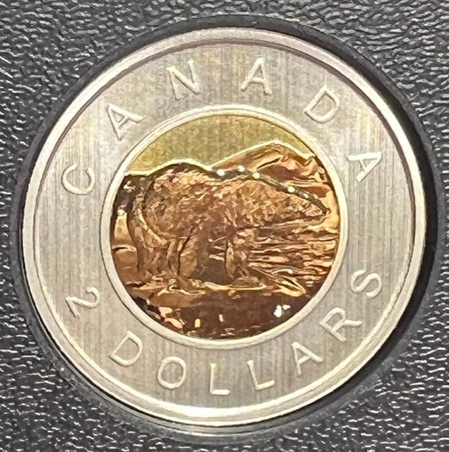 FS Canada 2024 Canada Specimen Toonie King Charles Specimen $2 coin IN ...