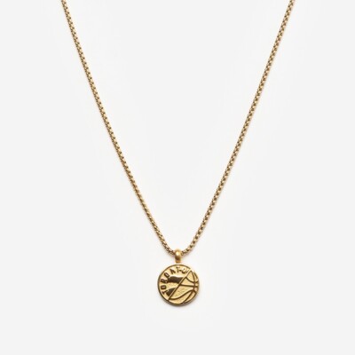 Gold Toronto Raptors Stainless Steal NBA Necklace and Pendant 24” chain ...