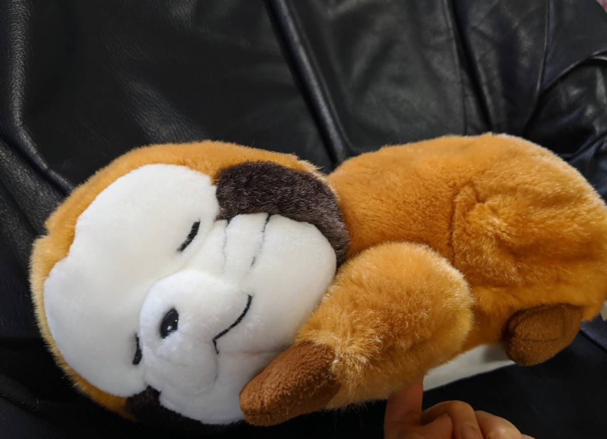 World Masterpiece Theater Araiguma Rascal Rascal Plush Good Night Fl | eBay