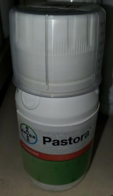 Bayer 84096334 Pastora Herbicide - 5oz for sale online | eBay