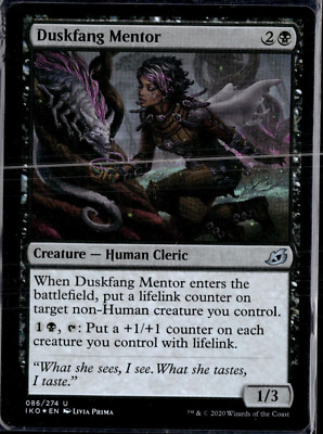 MTG Duskfang Mentor in FOIL! Magic the Gathering! | eBay