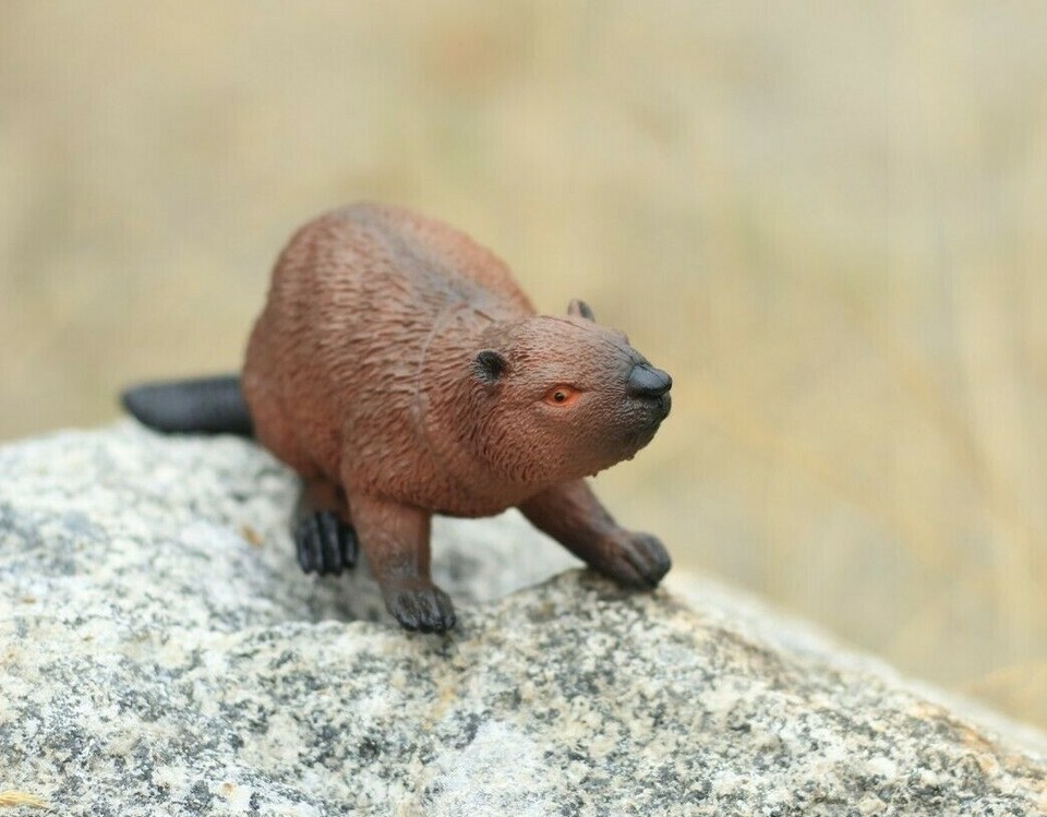 Beaver Toy Plastic Animal, Toy, Kids Gift, Realistic Figurine 5 1/2 ...