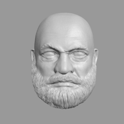 Clone Wars Captain Rex Order 66 Star Wars custom head for action ...