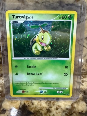 Pokémon TCG Turtwig Pop Rare Promo Holo Dp01 | eBay