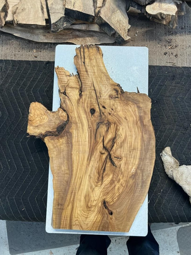 #139 OLIVE wood burl slab 200 yr old Rawcut 16x24 | eBay