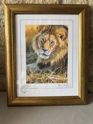 Stephen Gayford Framed Limited Edition Lion Print “That Time Already ...