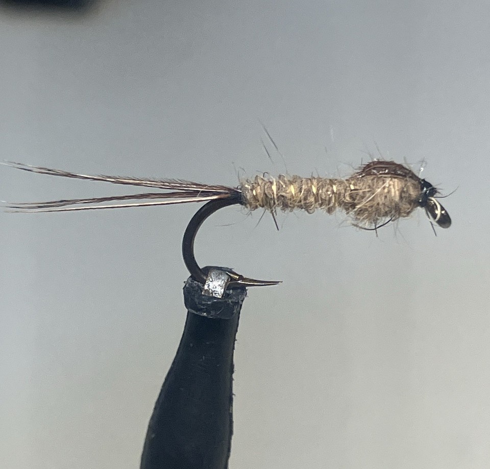 Hare’s Ear Nymph Gold Ribbed Classic Fly 6 Ct Size 14 | eBay