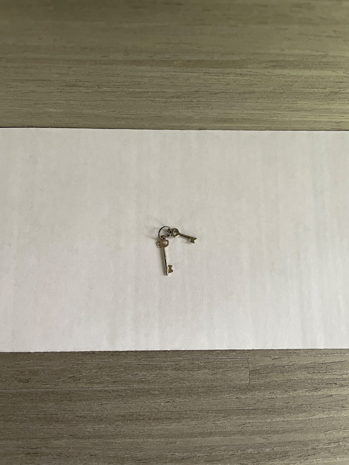 Silver metal set of two skeleton keys on a ring for the house or shop ...