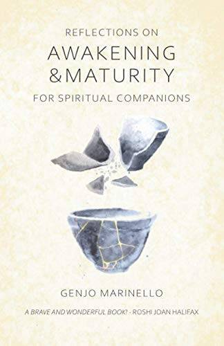 Reflections on AWAKENING AND MATURITY: FOR SPIRITUAL COMPANIONS - GOOD ...