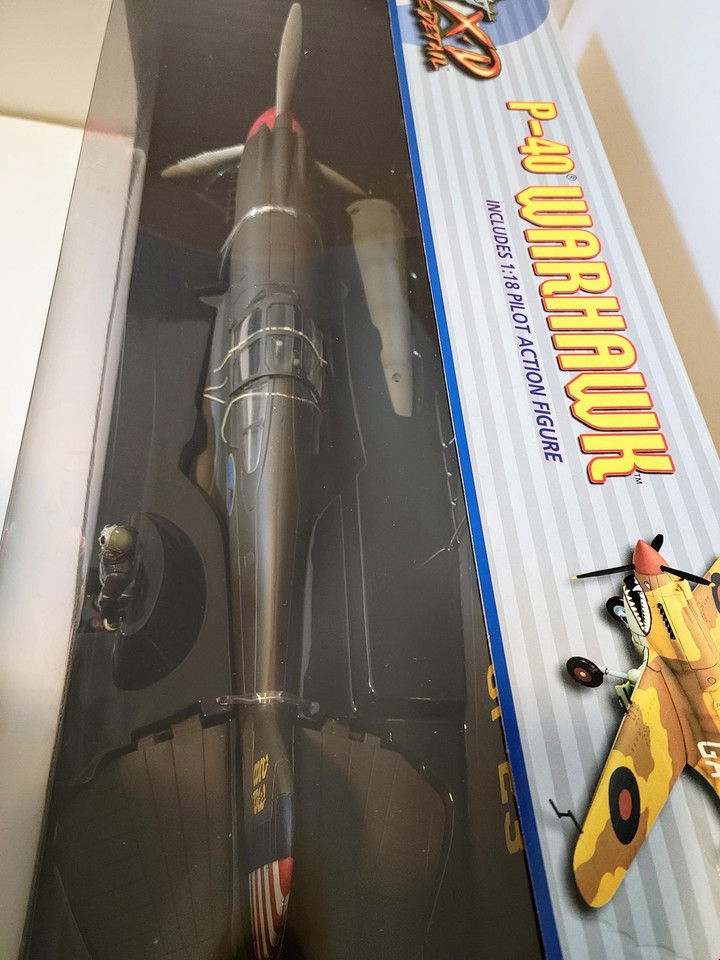 P-40B Warhawk 1:18 23rd Pursuit Squadron WWII 21st Century Toys NIB | eBay