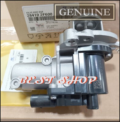 284102F600 OEM EGR VALVE with 1 Gasket For Hyundai/Kia(see description ...