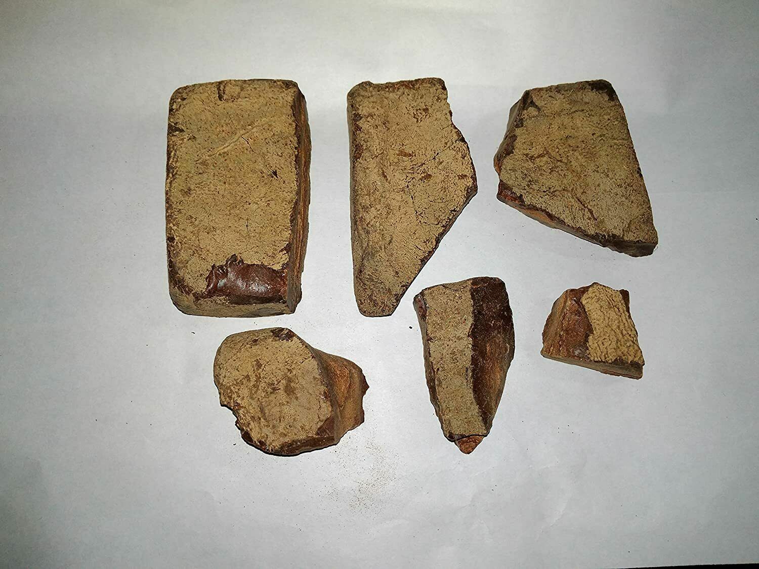 Organic Pure Kattha Bark Catechu Acacia Catechu Mimosa Khair Tree Chal ...