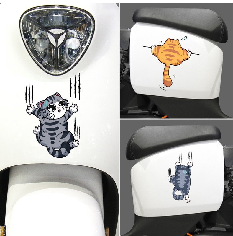 Set of 3 : Funny Cats Decal Auto Car Truck Window Bumper Scratch Vinyl ...