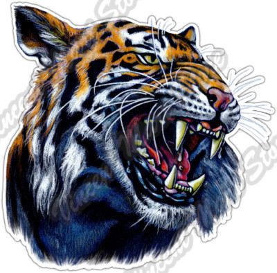 Roaring Tiger Head Cat Animal Wildlife Woods Car Bumper Vinyl Sticker ...