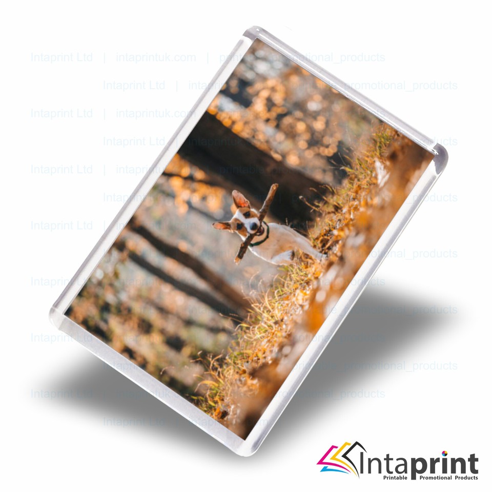 Blank Acrylic Clear L4 Fridge Magnet Personalise DIY Photo Insert ...