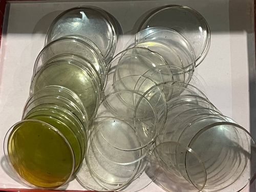 Lot of 50 pocket watch crystals | eBay