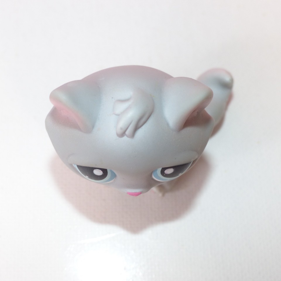 authentic littlest LPS PETSHOP 177 chat GOUTTIERE TABBY CAT kitty ...