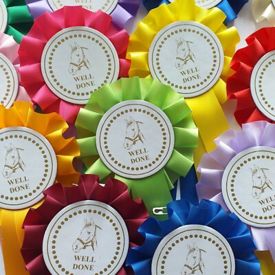 Well Done Horse Rosettes x 10 Horse Head Well Done Rosettes *FREE ...