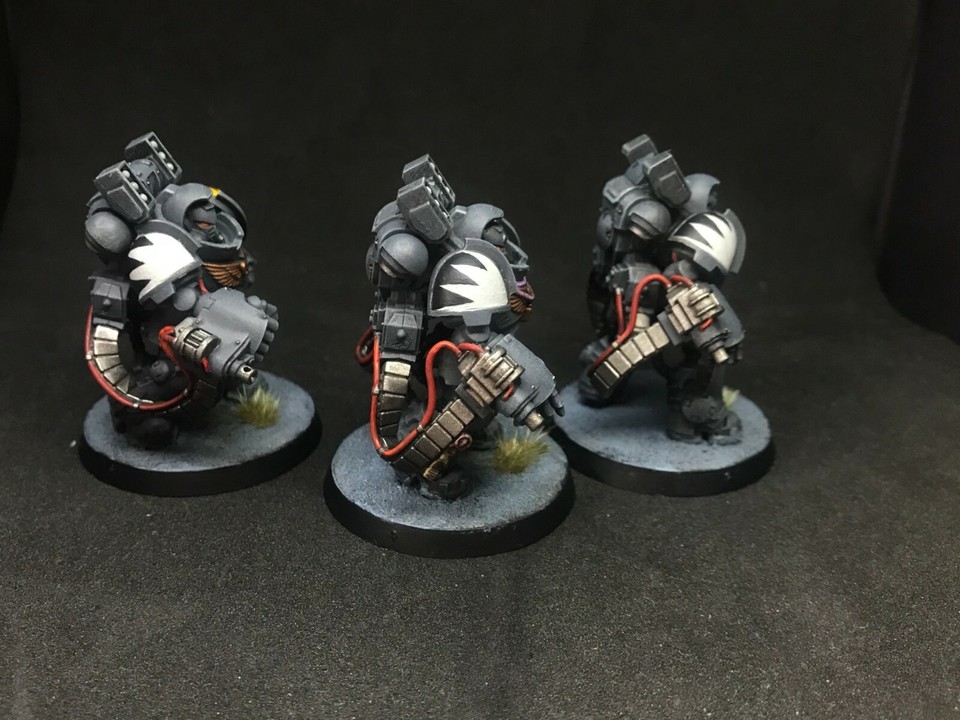 Space Wolves Primaris Aggressors painted Space marines painted ...