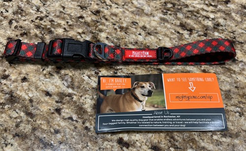 Mighty Paw ~ Padded Running Dog Collar ~ Premium Quality Sports Collar ...