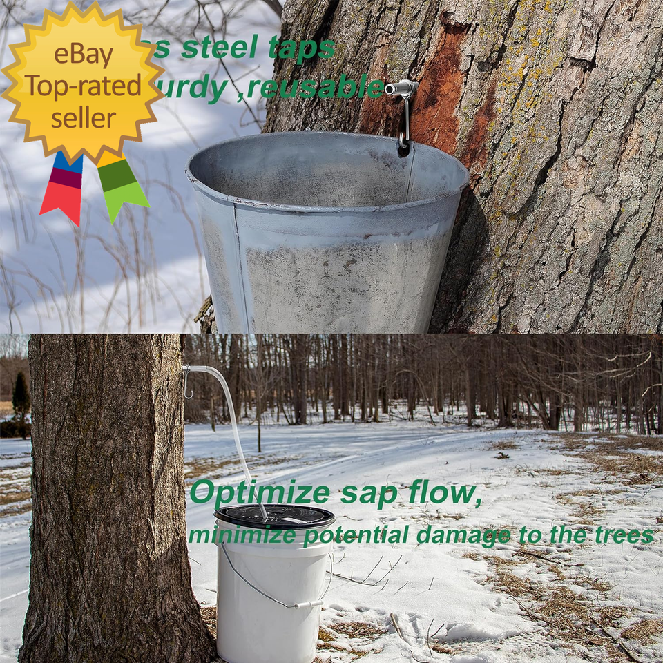 Stainless Steel Maple Syrup Taps Kit Spiles for Tapping Trees 3 Spiles ...