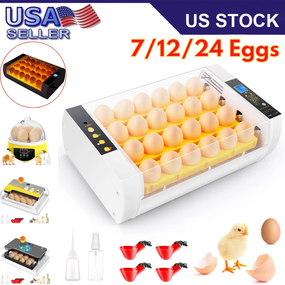 Quail Egg Incubators