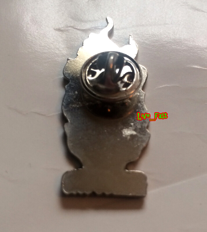 HELL BOUND 666 PENTAGRAM LAPEL PIN vintage biker pins, motorcycle ...