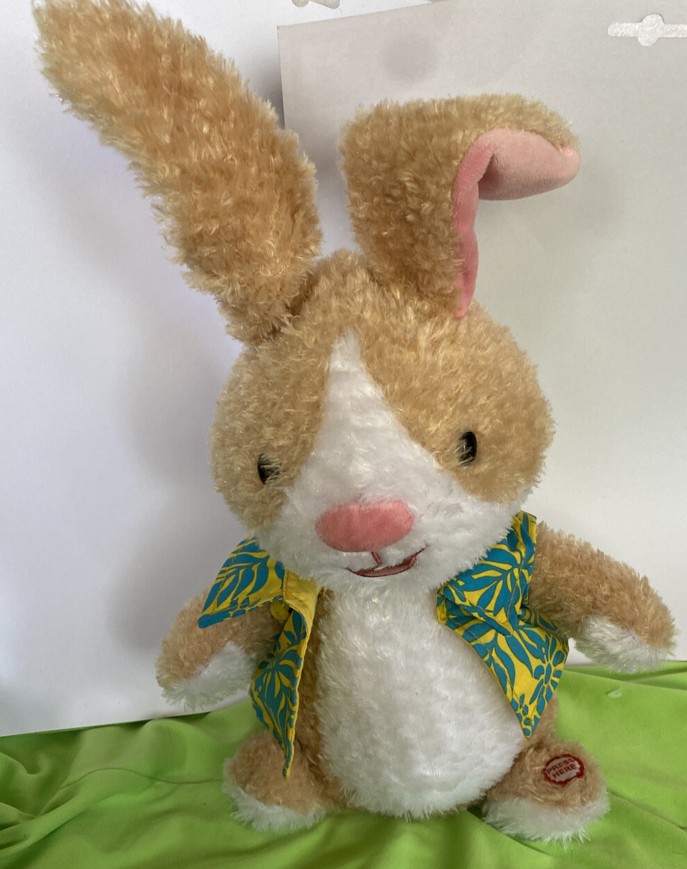 Hallmark Easter Sweet Dancin' Bunny Sound & Motion Jelly Macarena | eBay